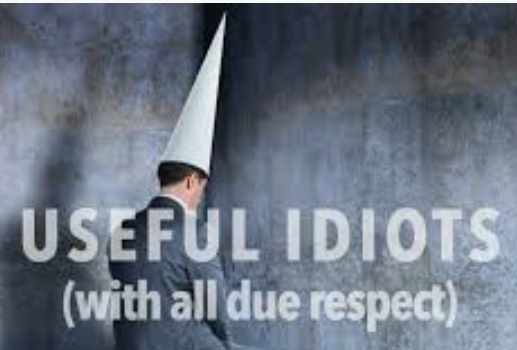 The useful idiot.